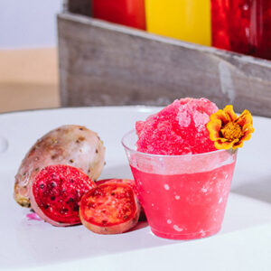 Prickly Pear Cactus & Coconut - The Perfect Puree of Napa Valley